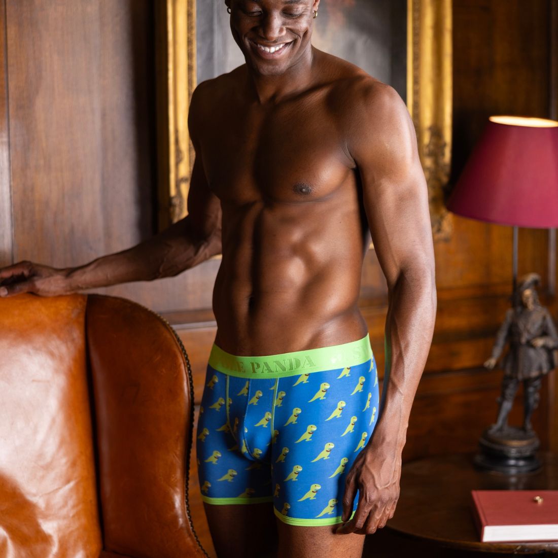 Bamboo Boxers - T-Rex – Frederick Thomas Handmade Mens Ties